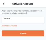 Activating the ALICE Mobile App for Employees
